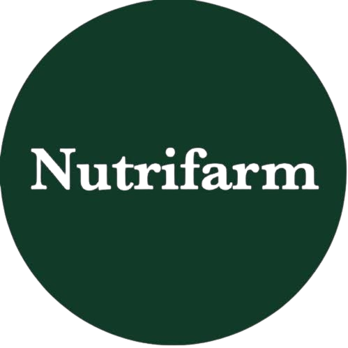 Execute - Jasa Konten Kreator Indonesia | Jasa Pembuatan Konten Video dan Design TikTok Instagram